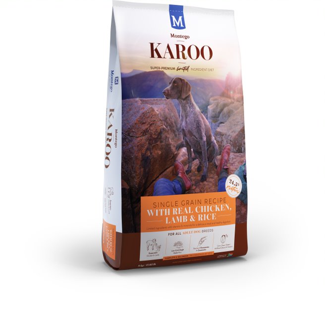 Pet Bound Co. - War Dog Alpha Lead - 2 Meters