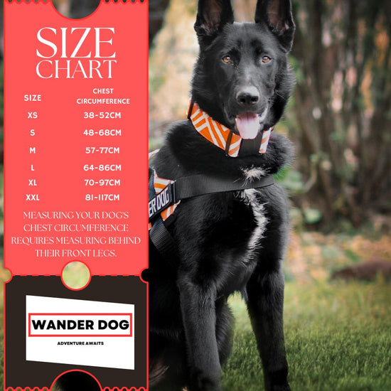 Wander Dog Easy Fit Harness – Pet Bound Co.
