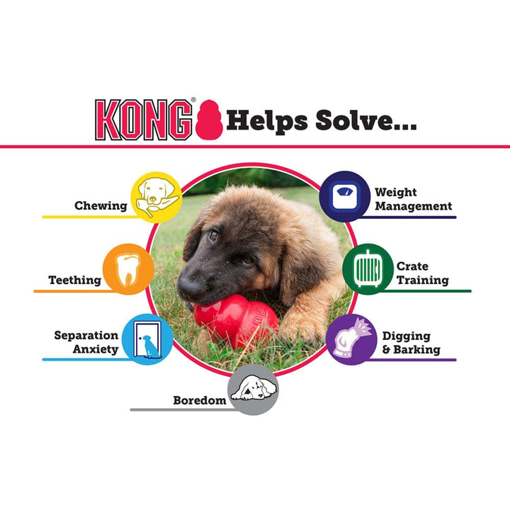 Dog Harness and accessories | Pet Bound Co.