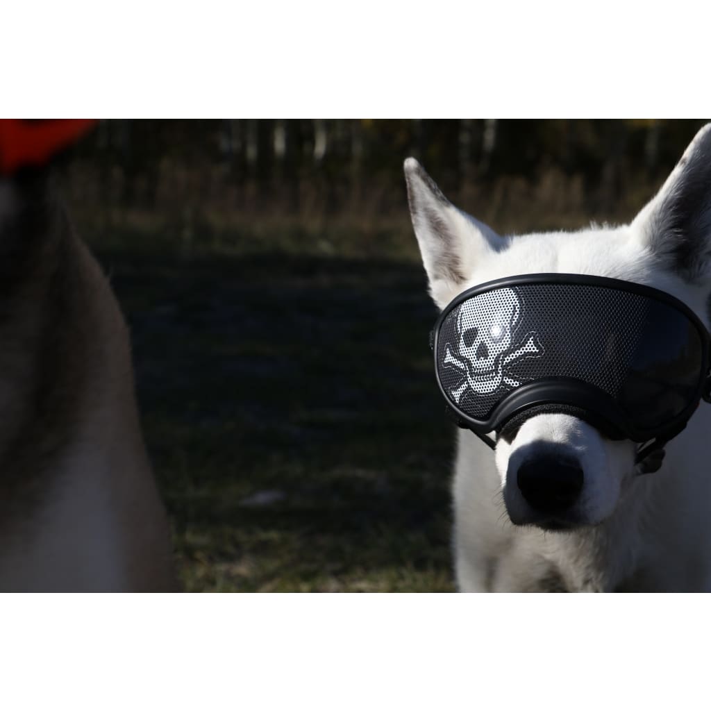 Pet Bound Co. - Rex Specs Lens Wraps