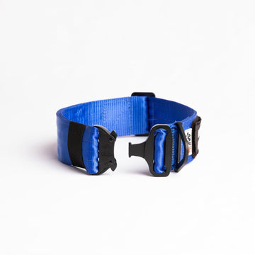 Dog Harness and accessories | Pet Bound Co.